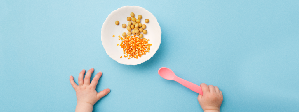 O Brasil alimenta o mundo? Estudo da Embrapa diz que sim